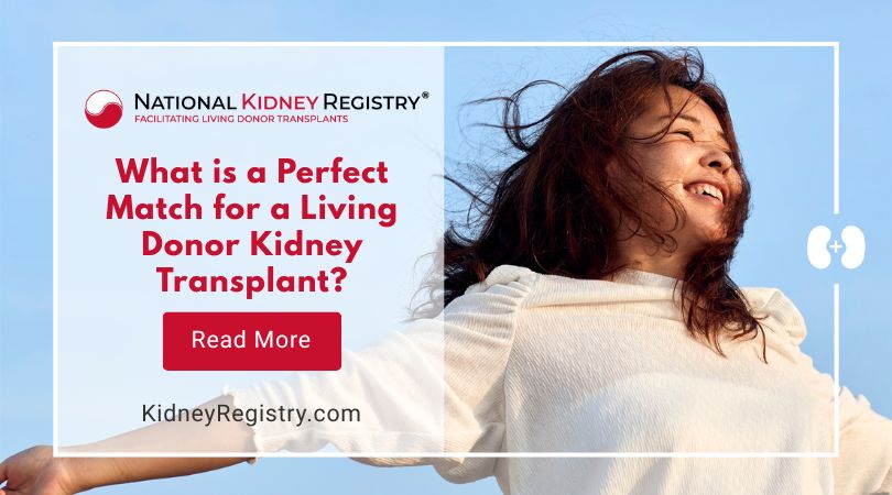 What is a Perfect Match for a Living Donor Kidney Transplant? | National Kidney Registry Donor Blog